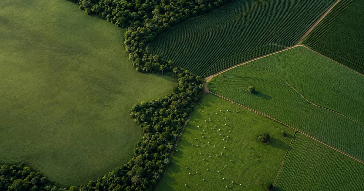 Terra agrícola valoriza 113% em 5 anos: o que muda